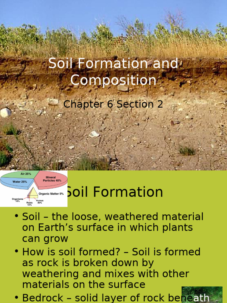 Soil Formation and Composition | PDF