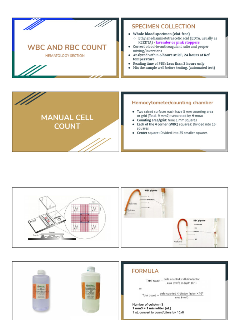 Rbc-And-Wbc-Count 2 | PDF