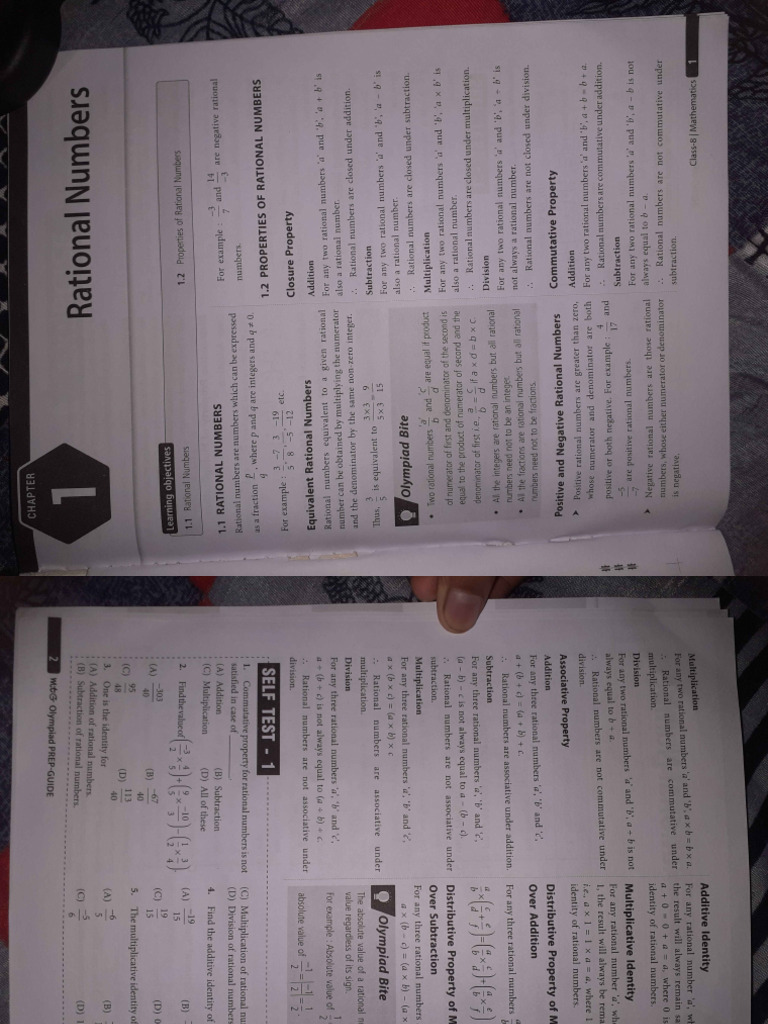 Rational Number Class 8th Maths SOF Guidebook Book | PDF
