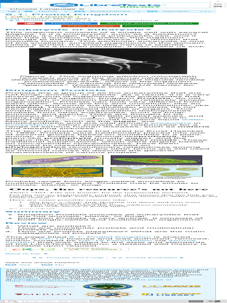 8.1 Protist Kingdom - Biology LibreTexts | PDF