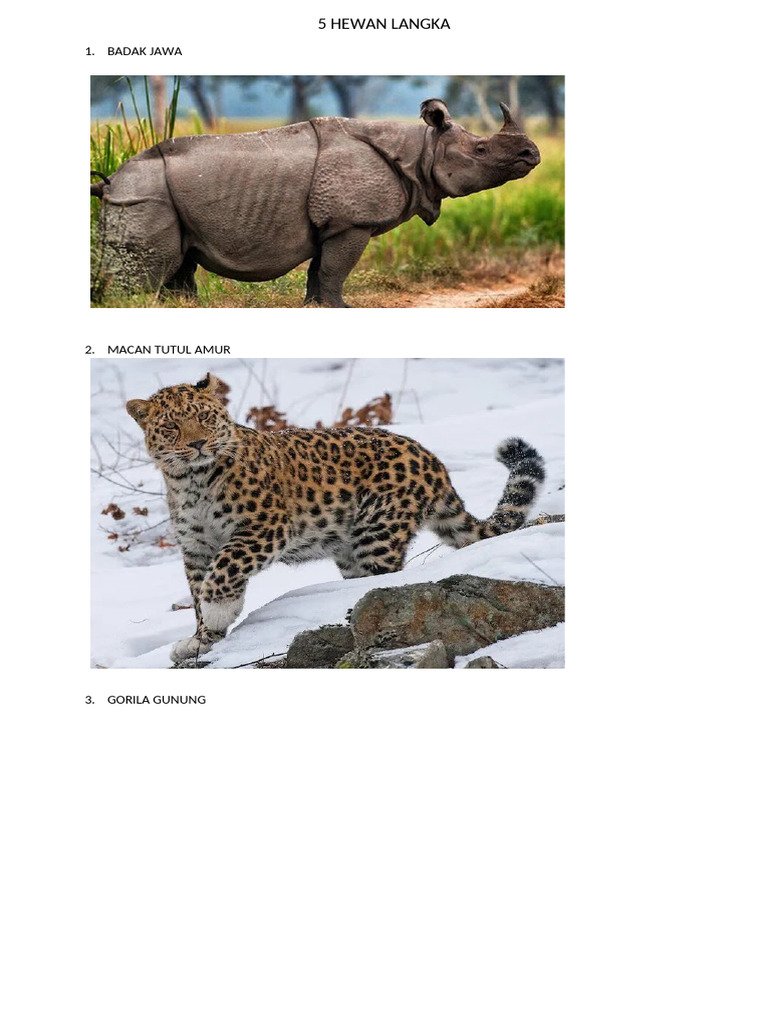 5 Hewan Langka | PDF