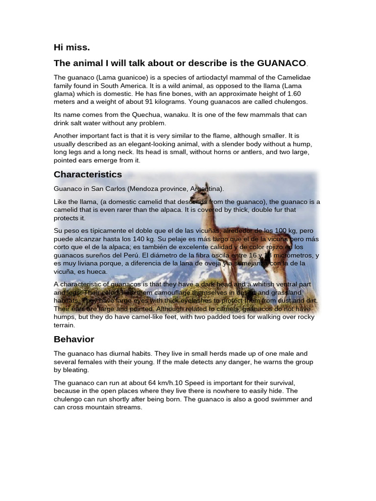 Entregable Nro 2 Ingles | PDF