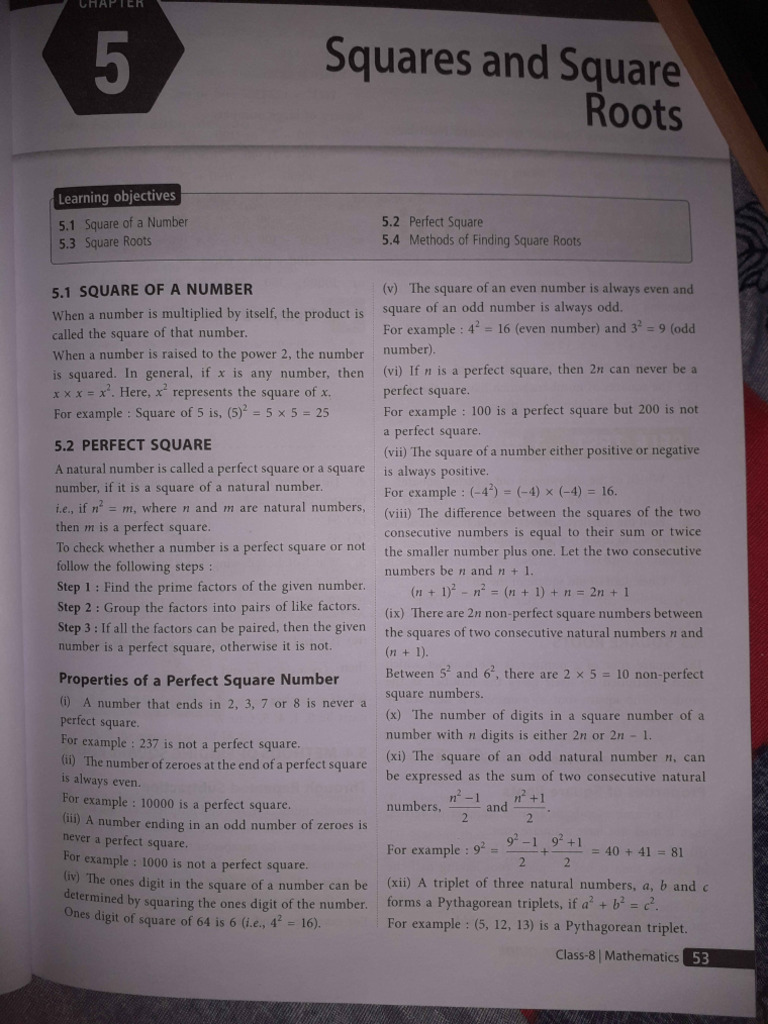 Square and Square Roots Class 8th Maths SOF Guidebook PDF | PDF