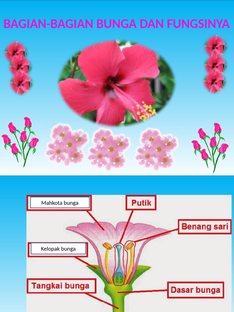 Materi Bagian Bunga | PDF