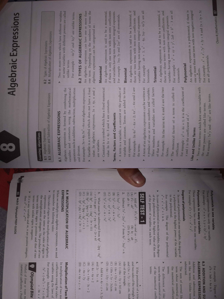 Algebraic Expressions Class 8th Maths SOF Guidebook PDF | PDF