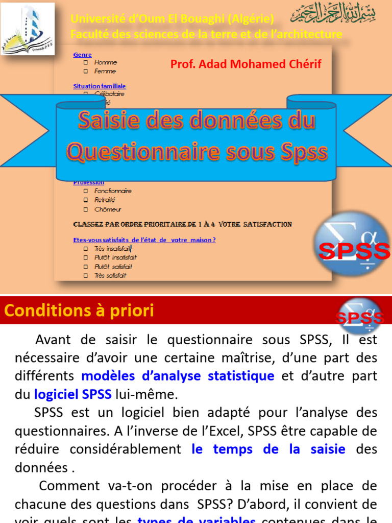 Questionnaire Sous Spss | PDF