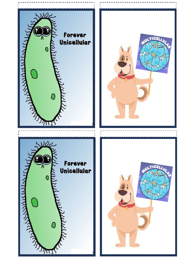 multicelular and unicelular | PDF