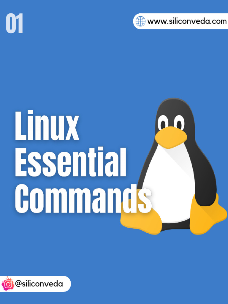 Linux Essential Commands | PDF