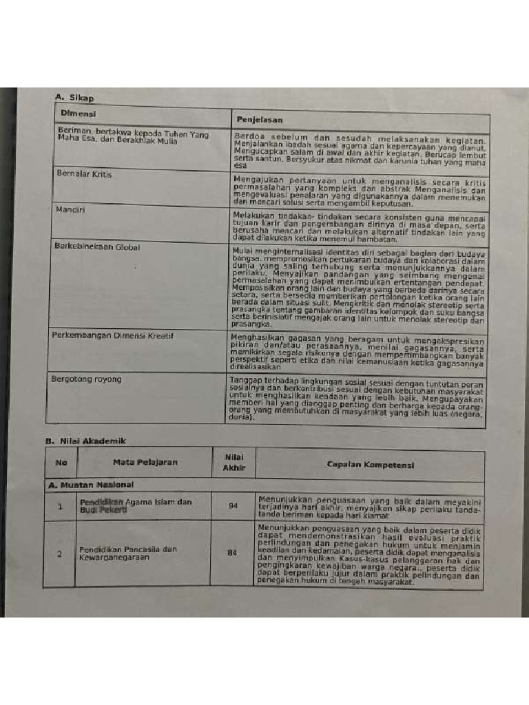 Foto Compressed | PDF