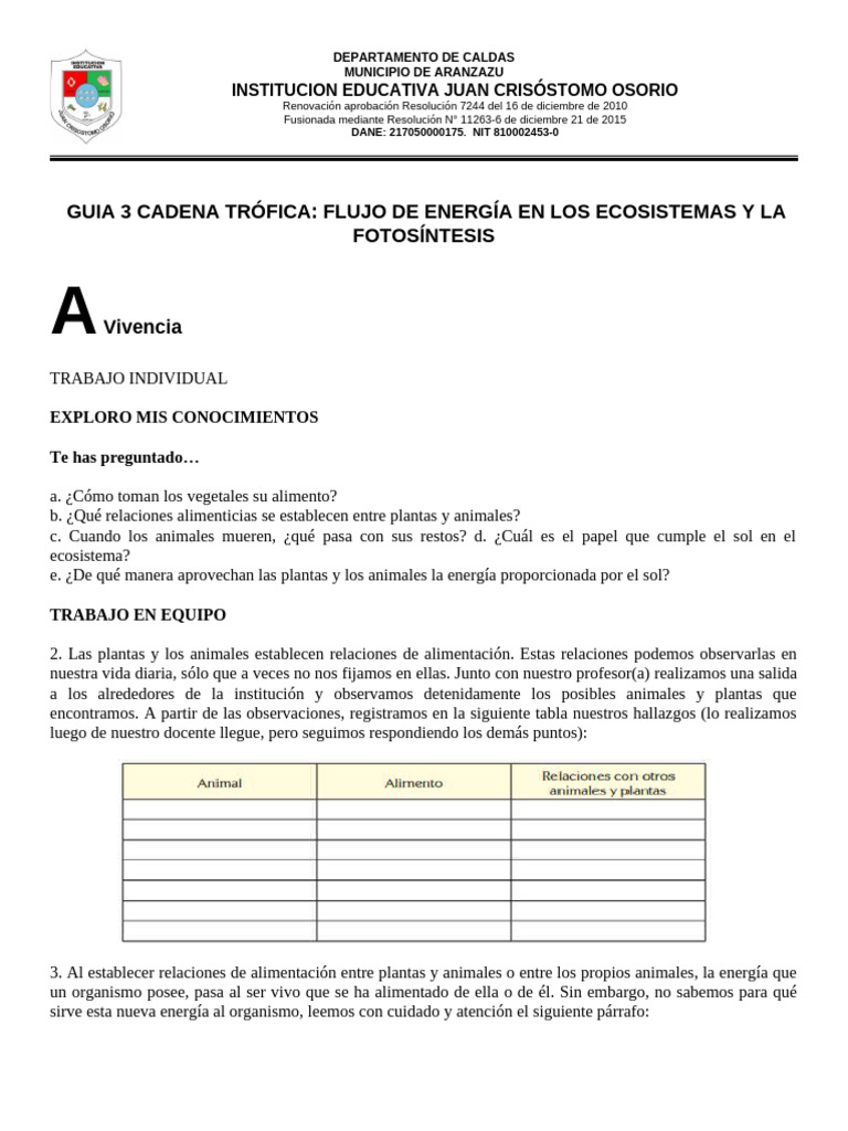 SEXTO GUÍA 3 Cadena Trófica Flujo de Energía en Los Ecosistemas y La ...
