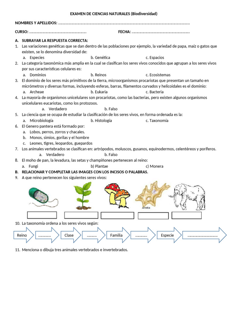 EXAMEN DE CIENCIAS NATURALES (Biodiversidad) | PDF