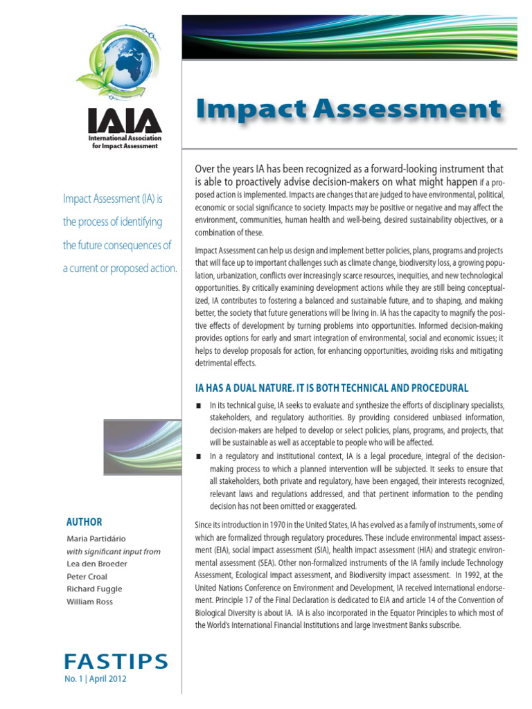 Fastips - 1 Impact Assessment | PDF