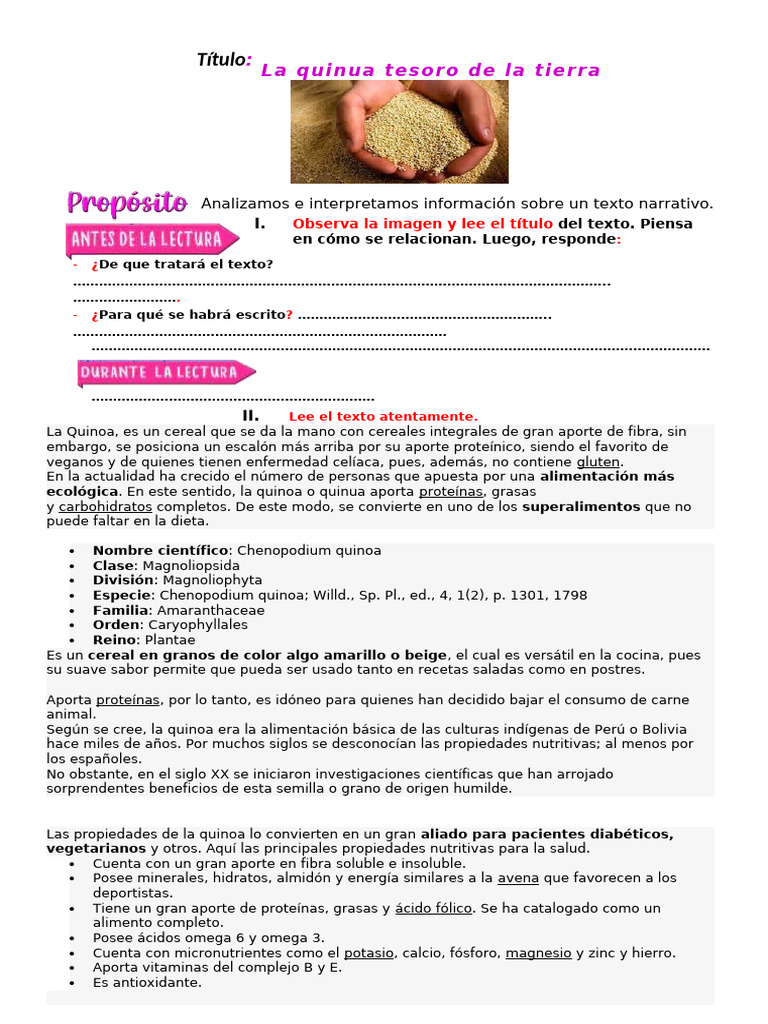 Beneficios y usos de la quinua | PDF | Quinua | Cereales