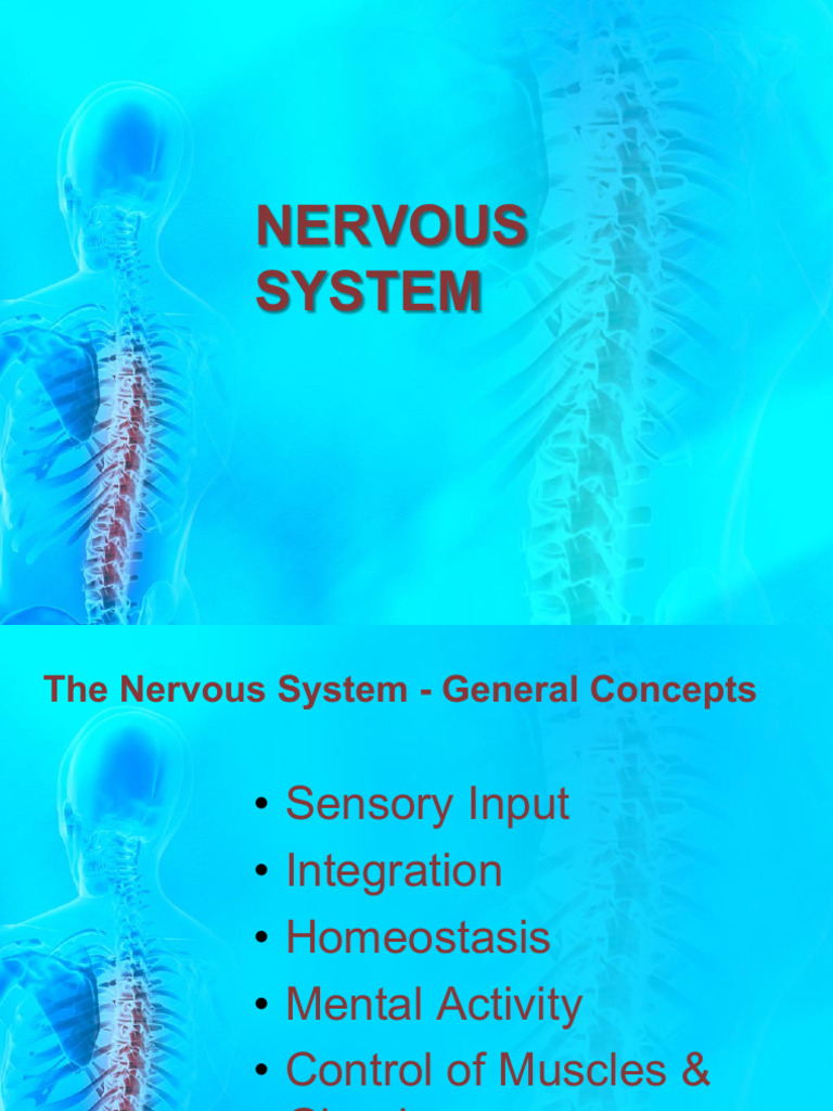 2 - NERVOUS SYSTEM | PDF