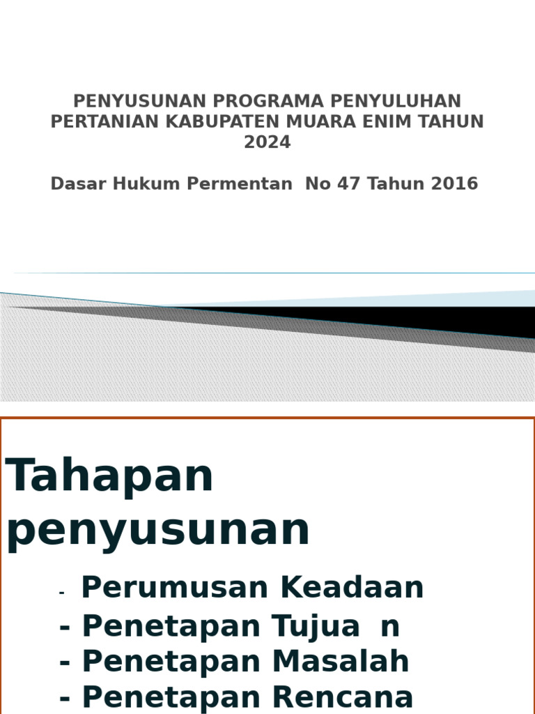 Power Point Penyusunan Programa | PDF