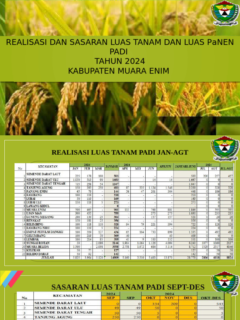 Sasaran Dan Realisasi Tanam Padi 2024 | PDF