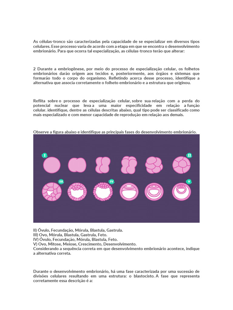 Anatomia Modulo 1 Pdf