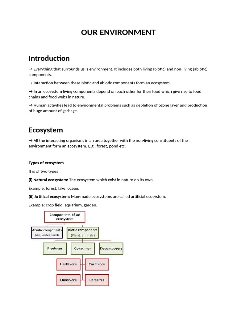 Our Environment | PDF