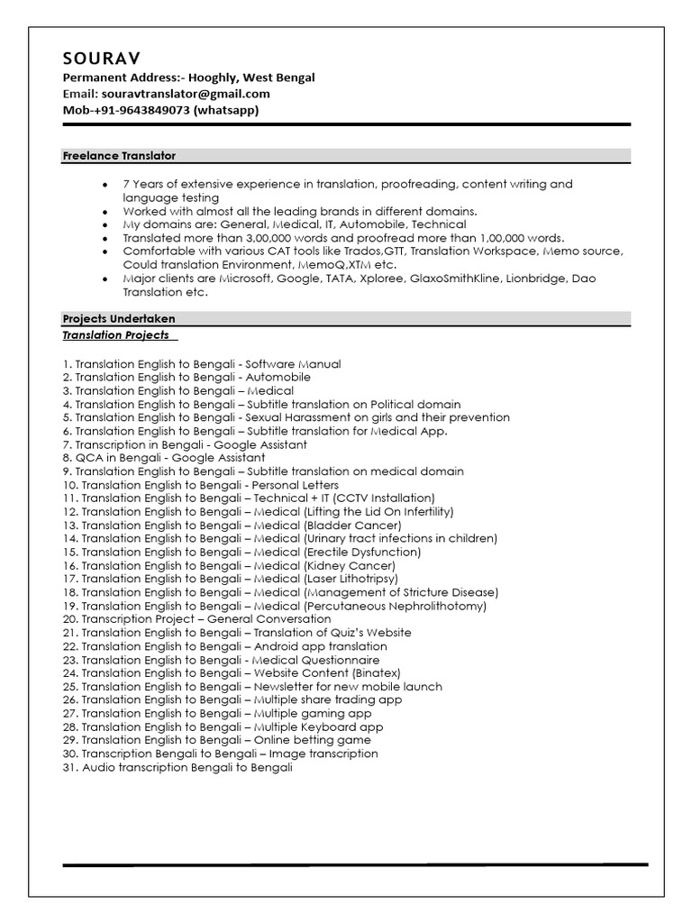 Freelance Translator CV | PDF