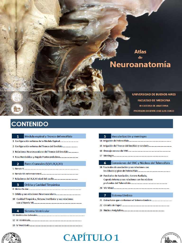 Atlas de Neuroanatomía | PDF