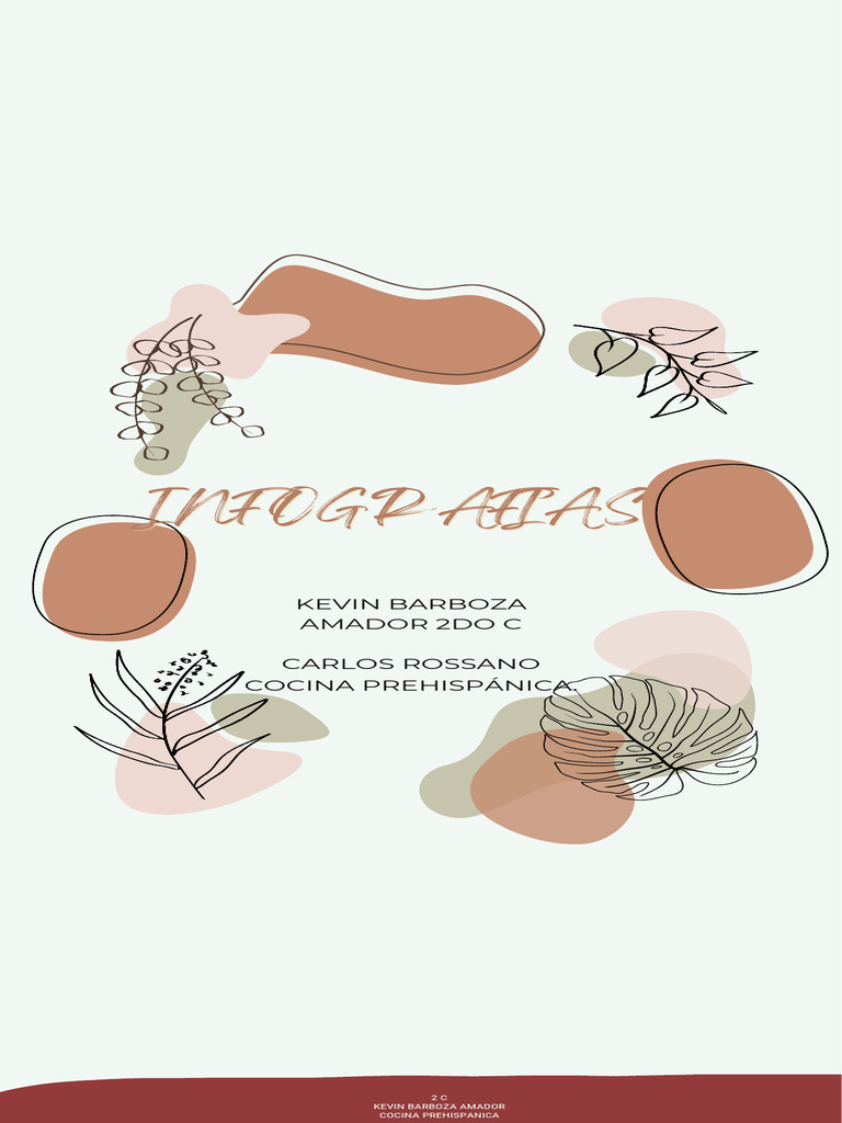 Infografias Kevin Barboza Amador 2c | PDF