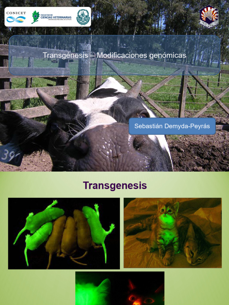 Transgenesis 2022 | PDF
