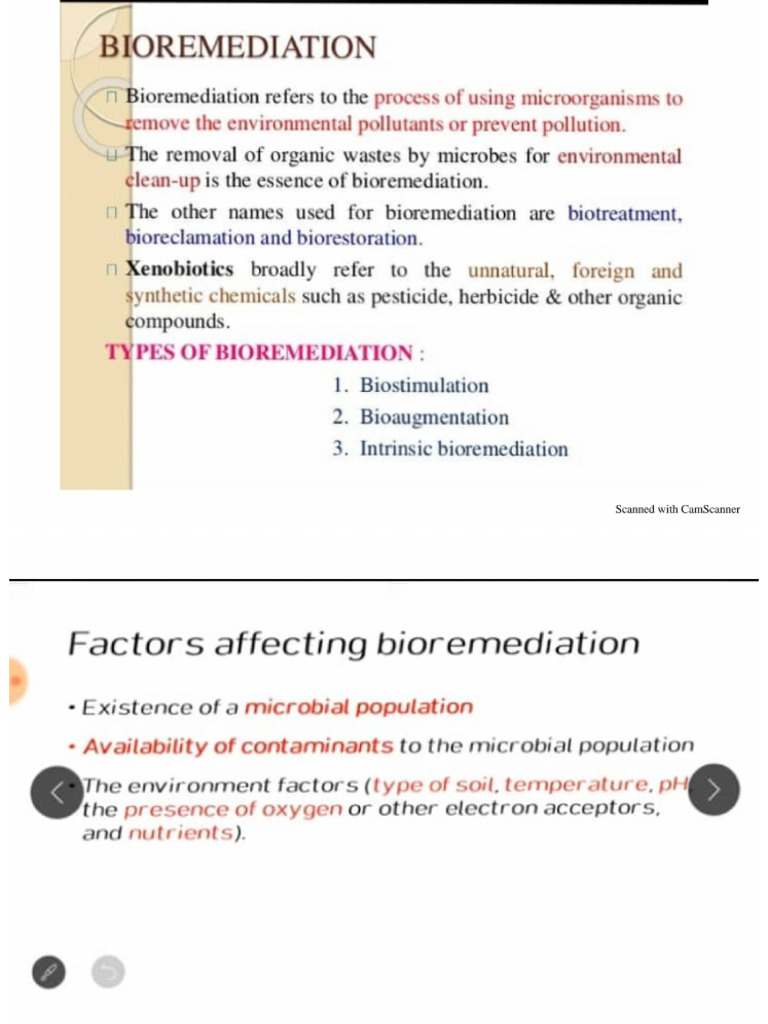 Bioremediation | PDF