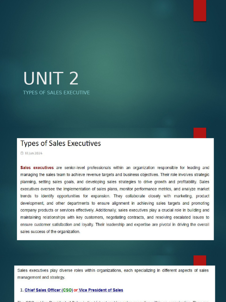 Unit 2 Types of Sales Executive | PDF