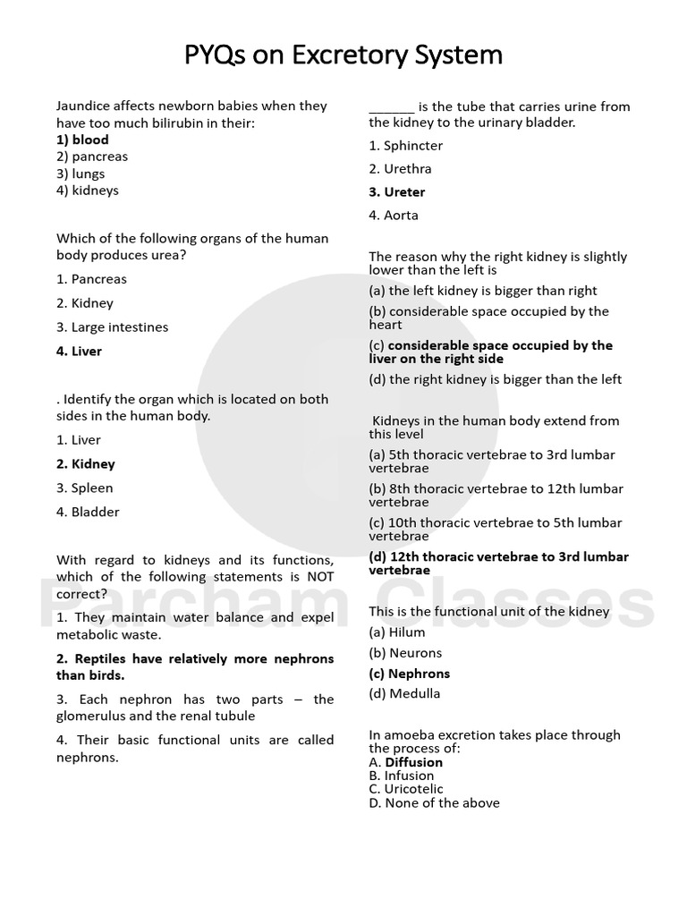 PYQs On Excretory System | PDF