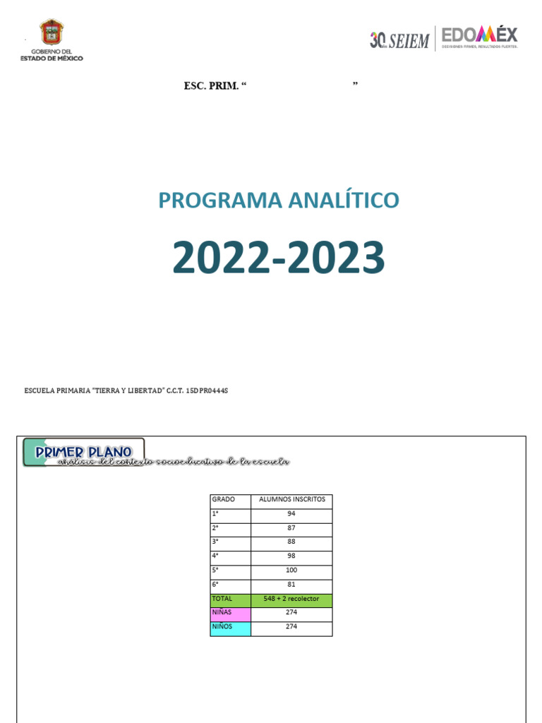 Programa Analitico | PDF
