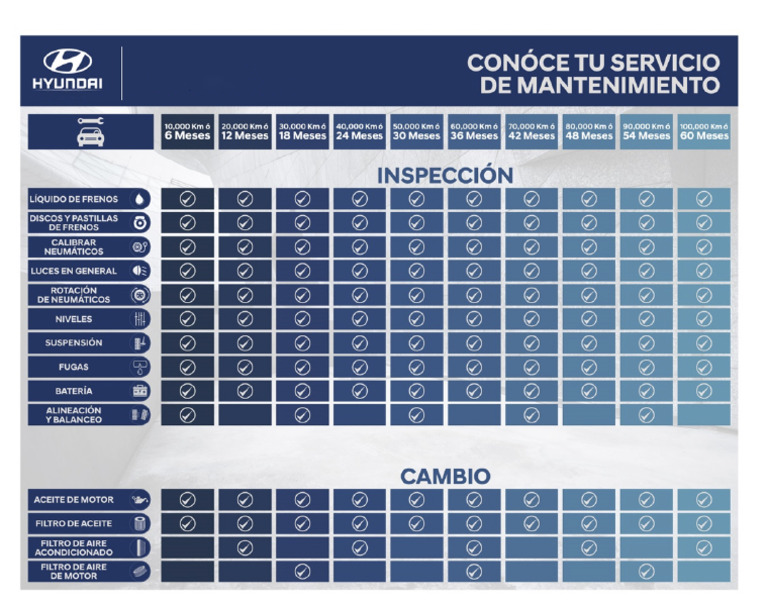 Servicios Hyundai | PDF