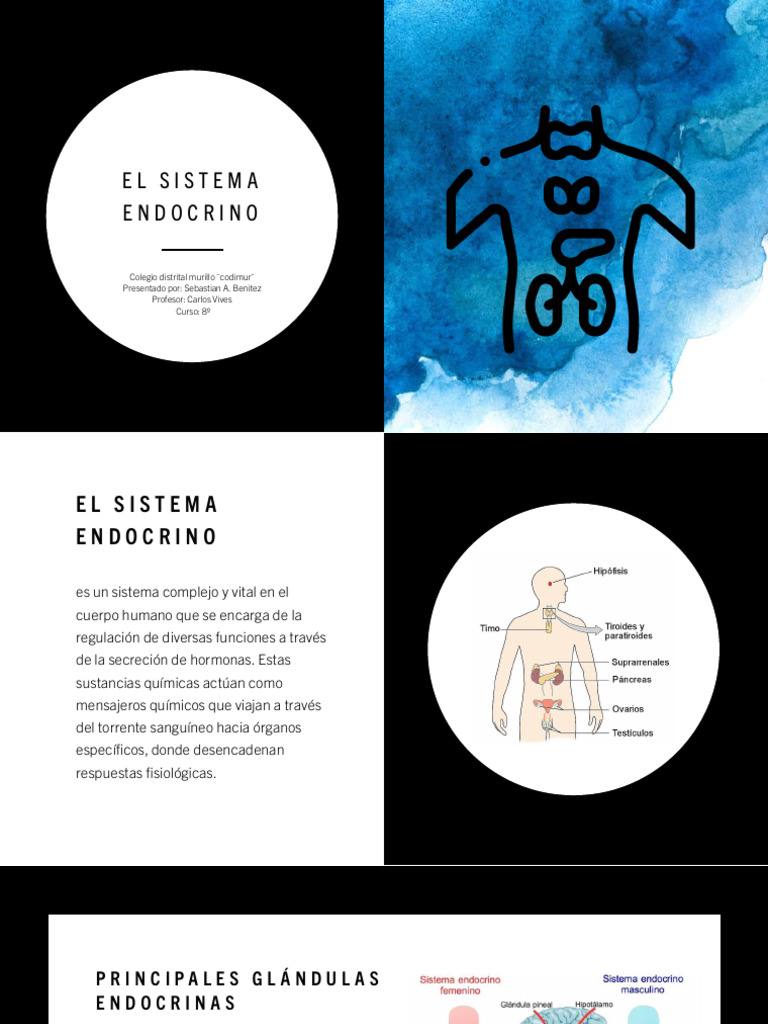 Presentación 2 | PDF