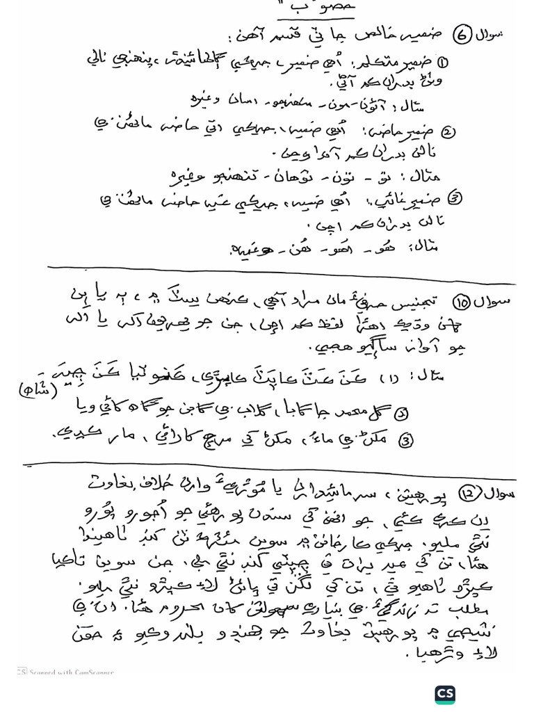 Sindhi Complete Paper | PDF