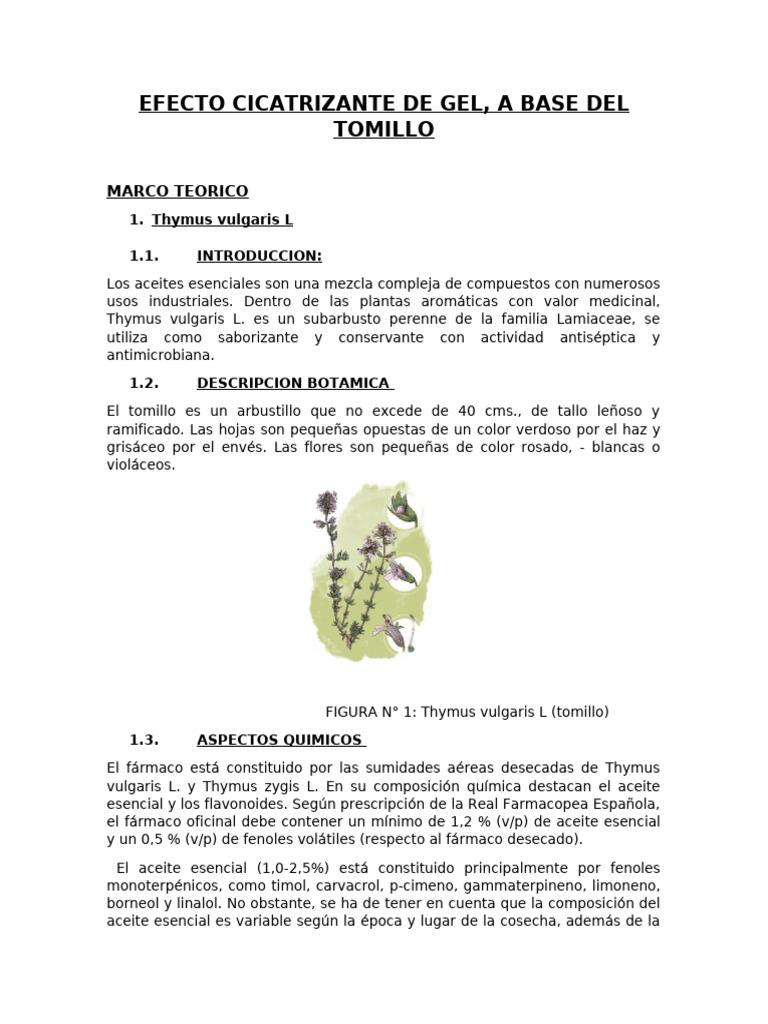 Efecto Cicatrizante de Gel Tomillo | PDF