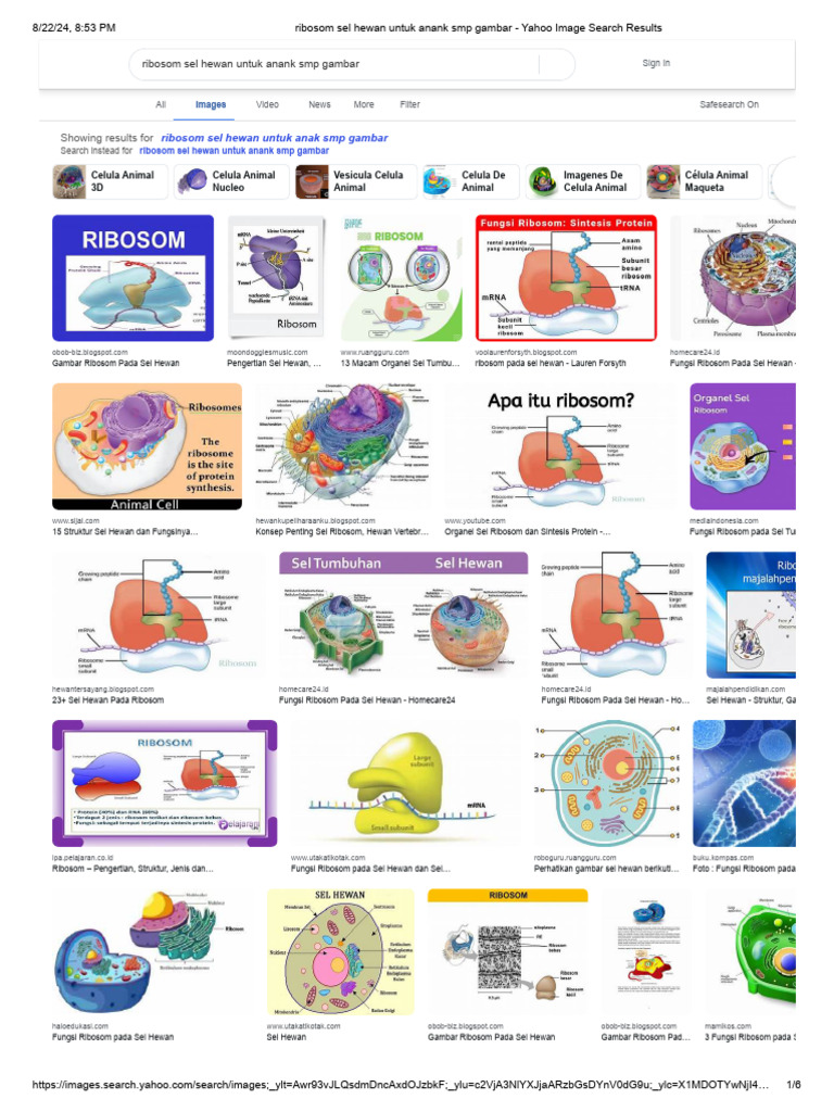 Ribosom Sel Hewan .Sel Sel | PDF