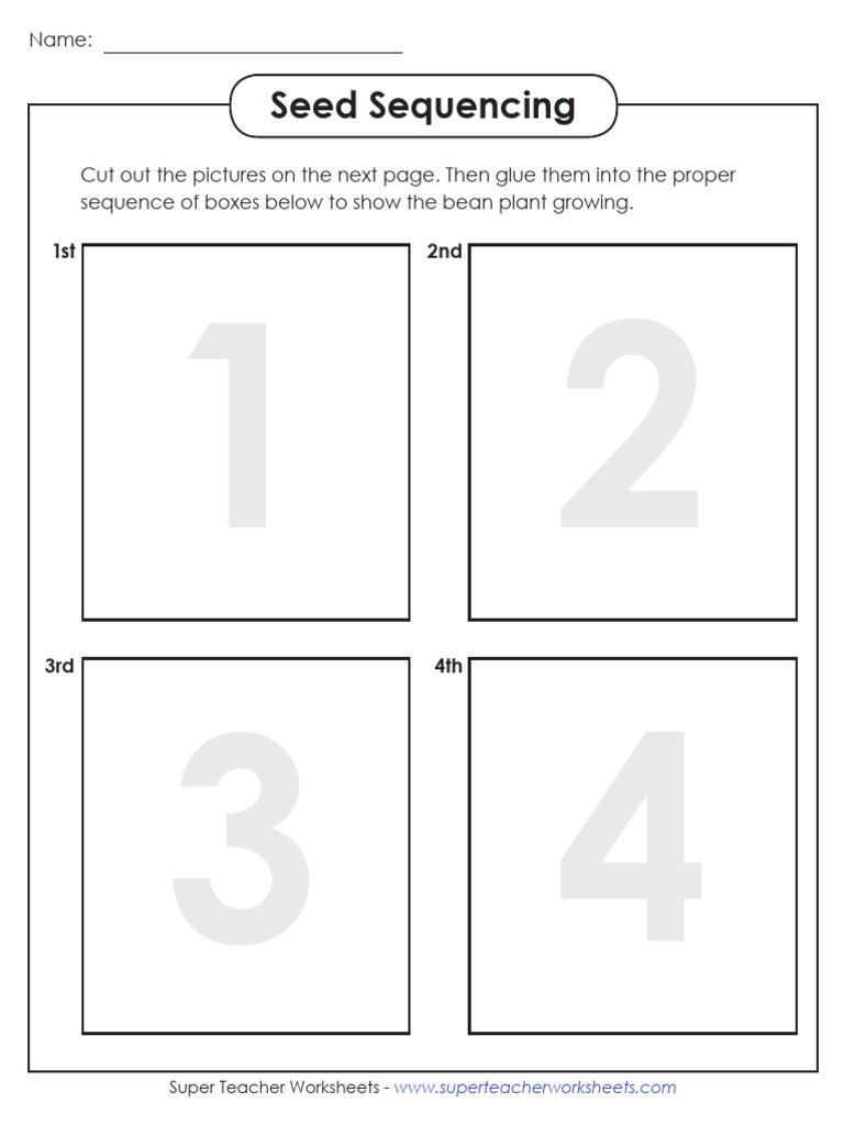 Bean Seed Sequence - ABZHJ | PDF