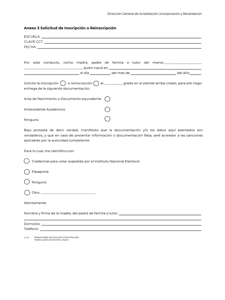 Formato Anexo 3 | PDF | Derecho