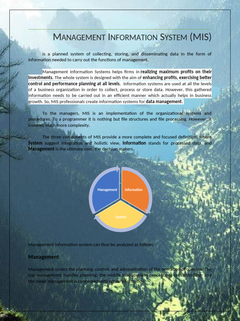 Management Information System | PDF | System | Computers