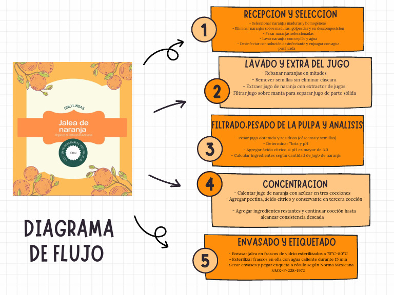 Diagrama De Jalea De Naranja Pdf Pdf
