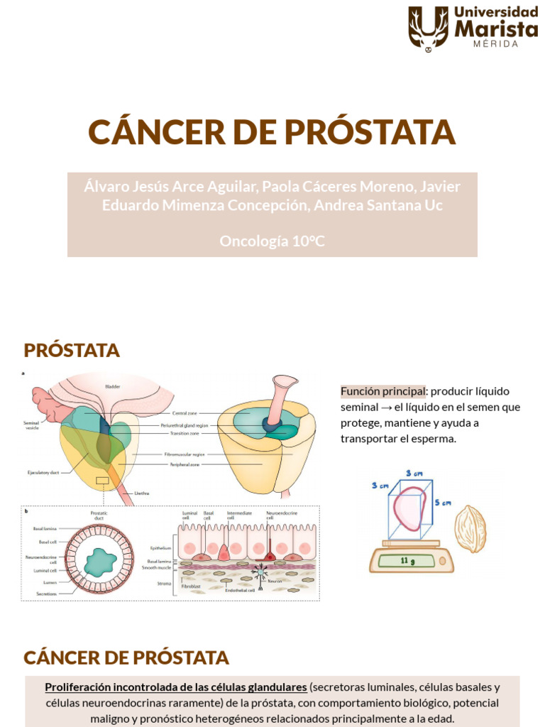 Cáncer de Próstata | PDF