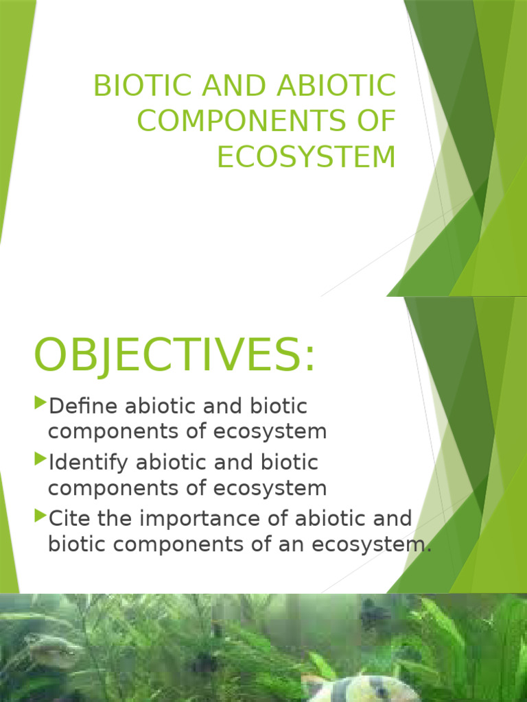 Module 8 Biotic and Abiotic Components of Ecosystem | PDF