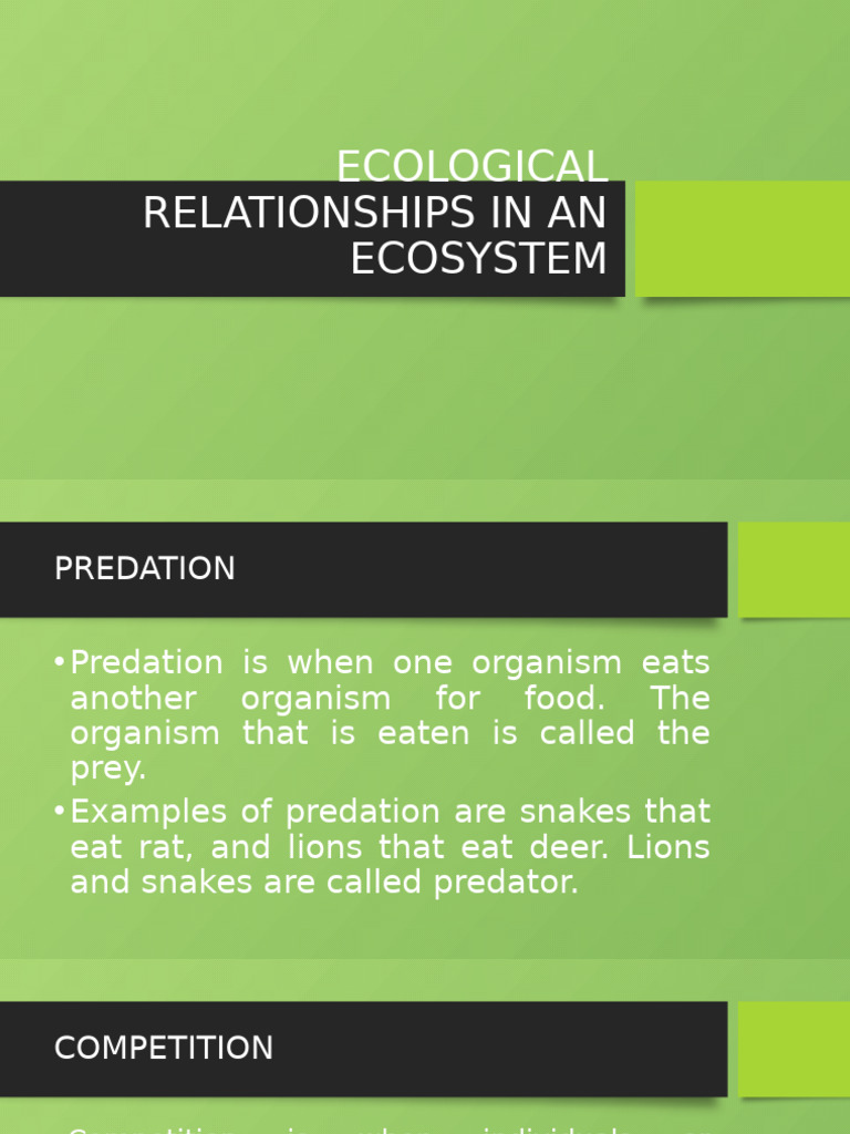 Module 9.1 Ecological Relationships in An Ecosystem | PDF