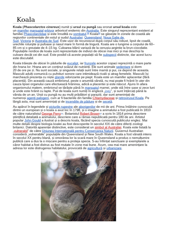 Koala | PDF