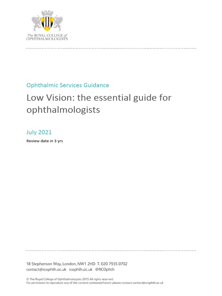 Low Vision Guide | PDF