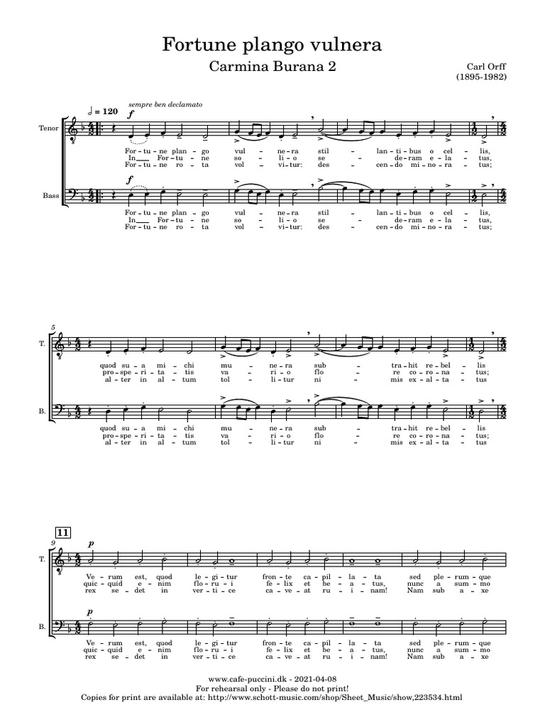 02.Fortune_plango_vulnera | PDF