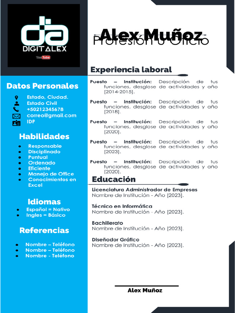 Modelo de CV profesional.docx | PDF