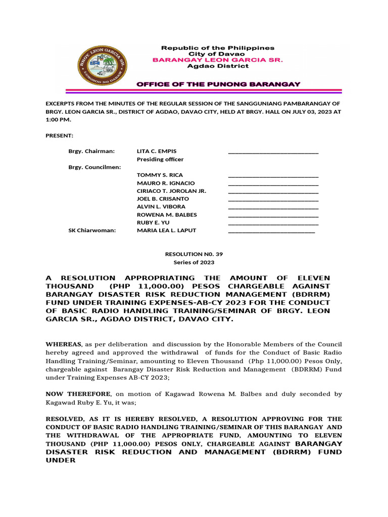 BASIC RADIO HANDLING DISASTER | PDF