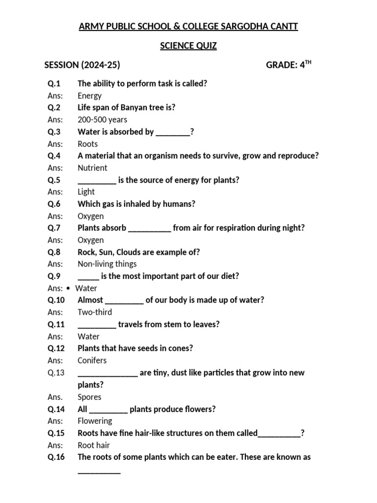 Class 4th Quiz | PDF