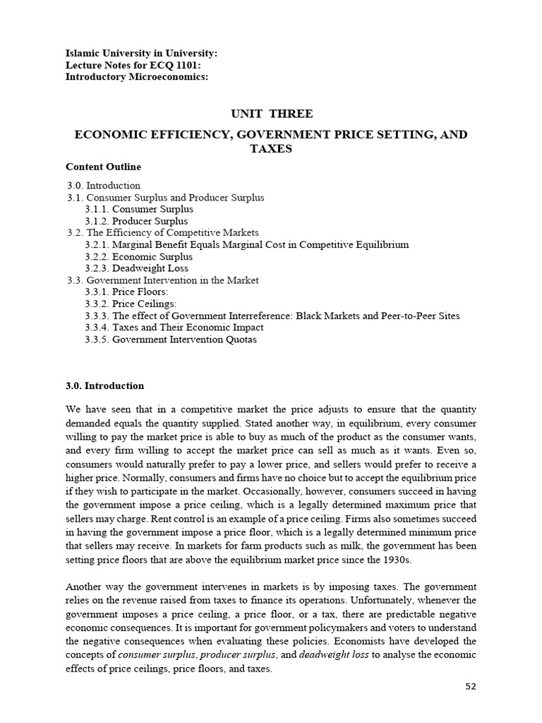 ECQ 1101 Unit 3 Economic Efficiency and Govt Interefrence | PDF ...