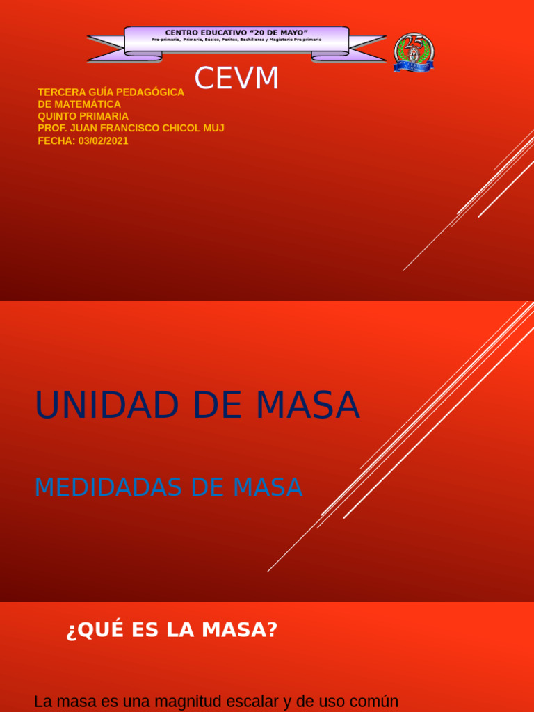 Unidad de Masa | PDF